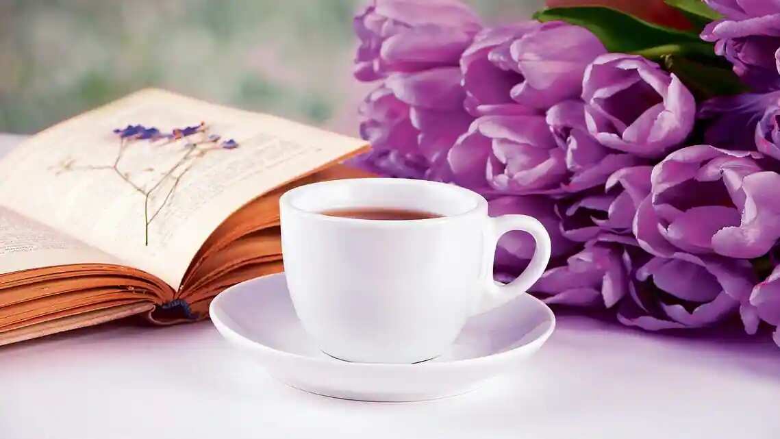 Unpack history like a tea writer