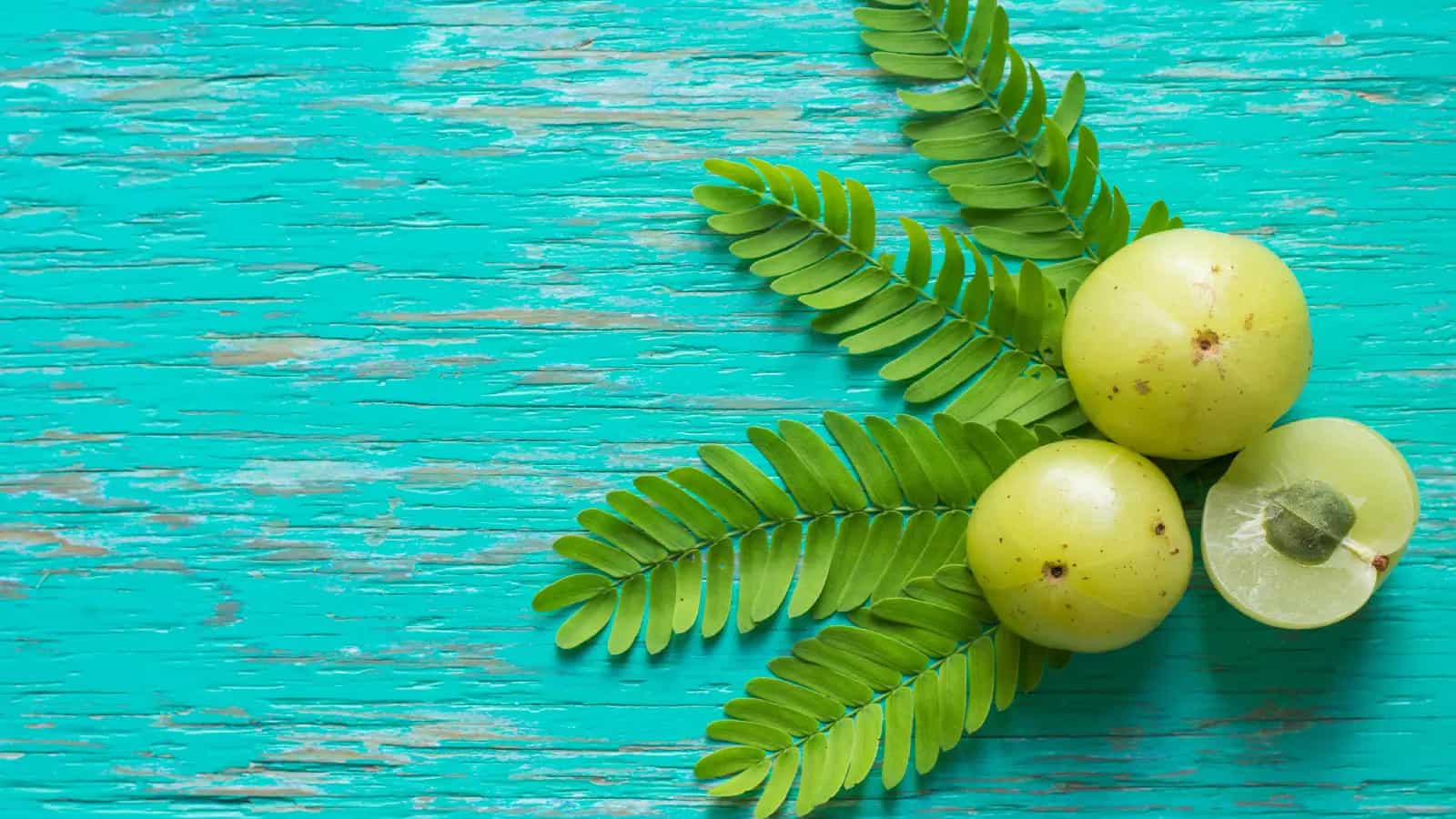 Beware of these side effects of having excessive amla!