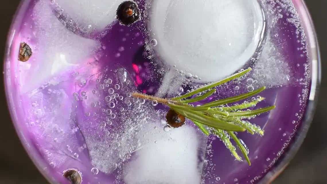 3 Gin & Tonic recipes that make for a relaxing after-work drink