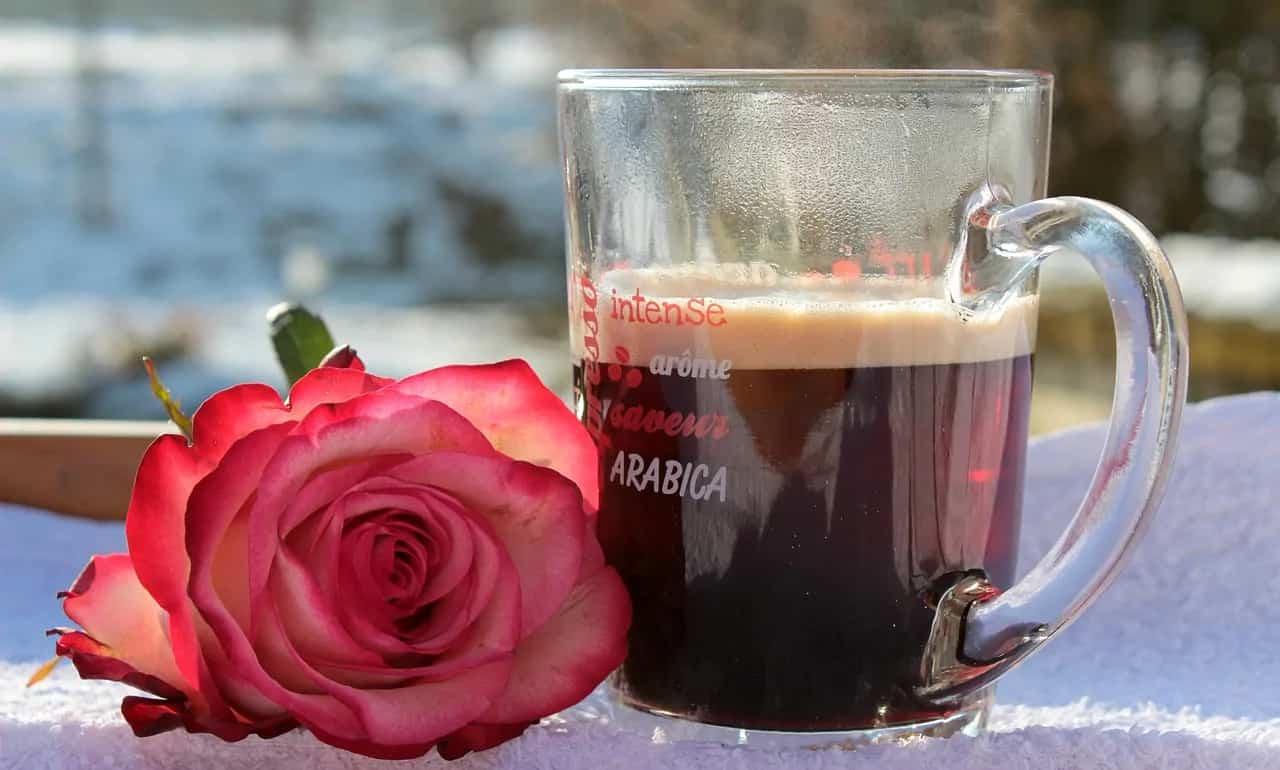 Rose Day 2023: 4 Rose-Flavoured Drinks To Make Your Day Special