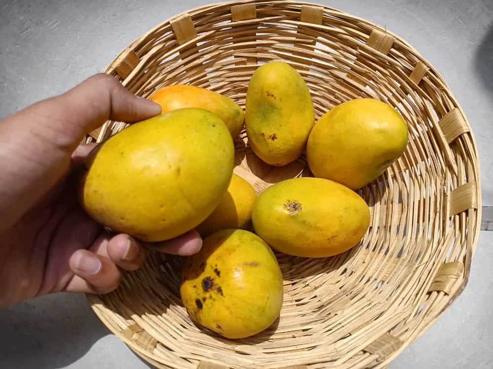 Tips To Buy The Right Mango