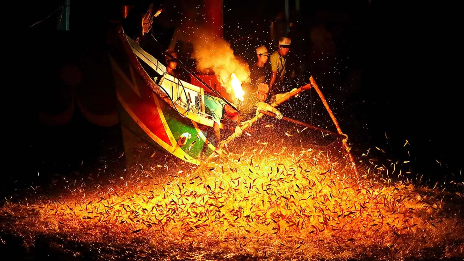The Dying Art of Fishing With Fire In Taiwan