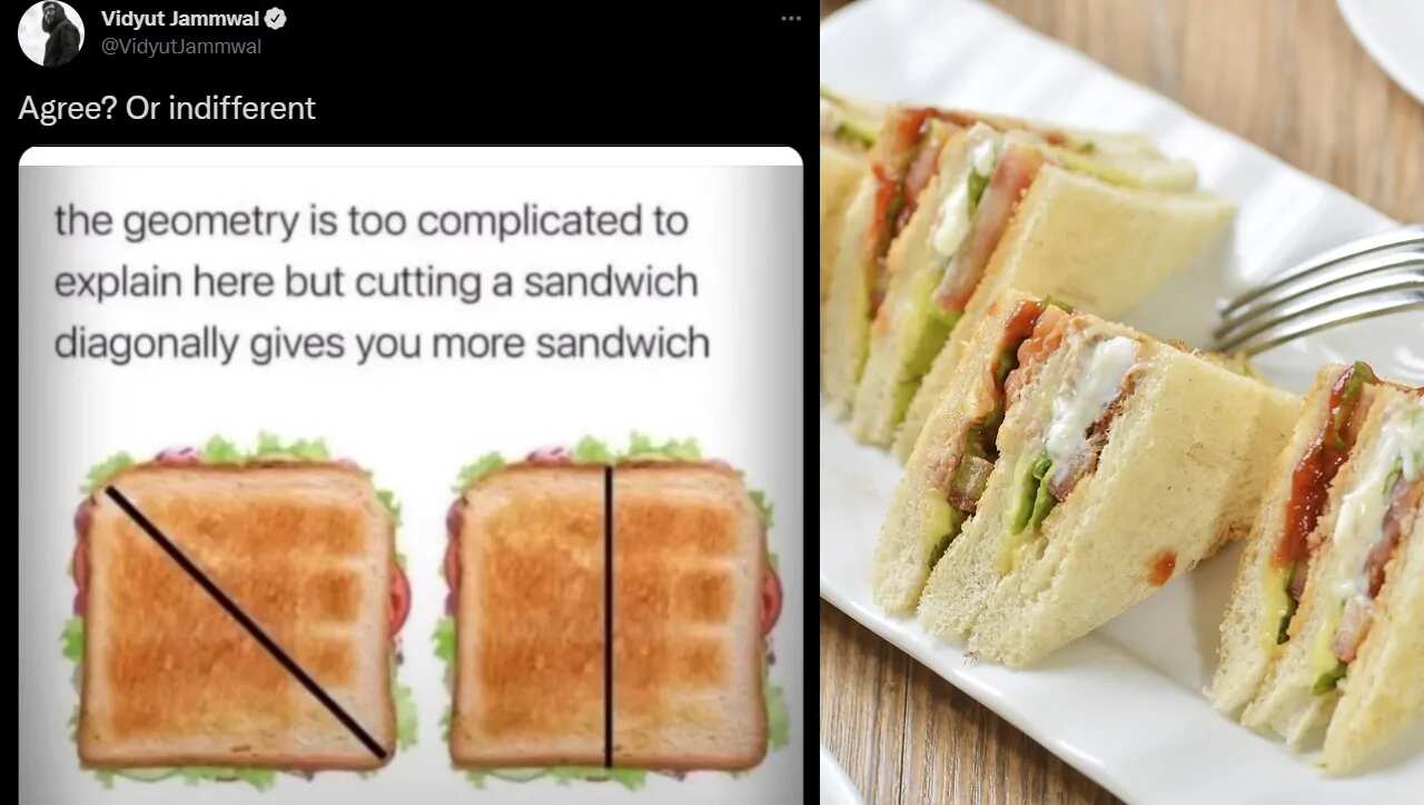 Cutting A Sandwich Diagonally Gives You More Sandwich Expresses Cutting A Sandwich Diagonally Gives You More Sandwich Expresses