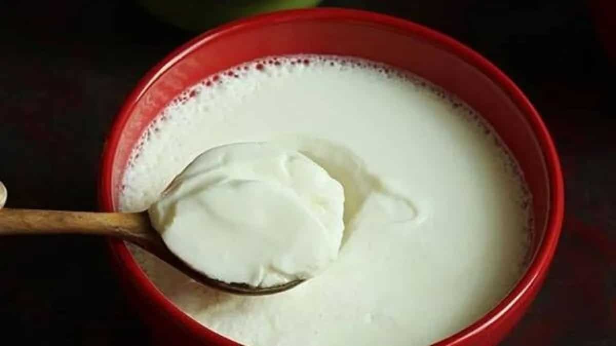 Right Way To Consume Curd