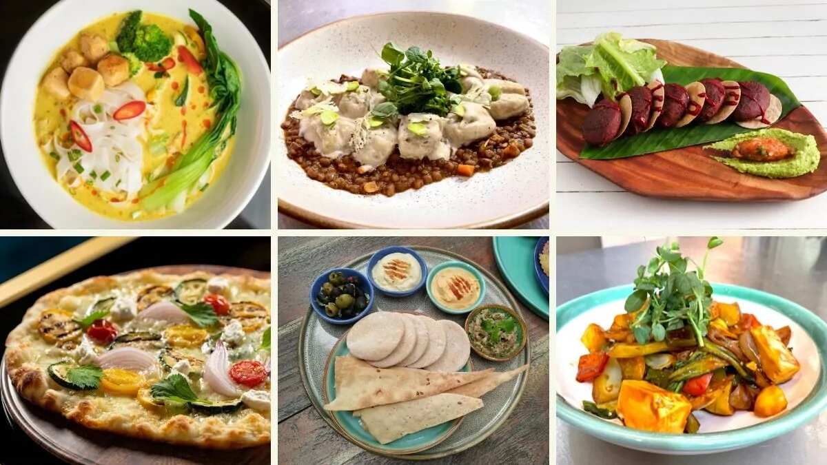 Plant-based restaurants are on the rise