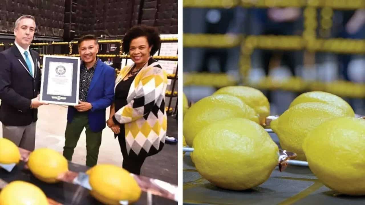 Viral: Largest Lemon Battery Sets Record; 4 Lemon Drinks You Can Make ...