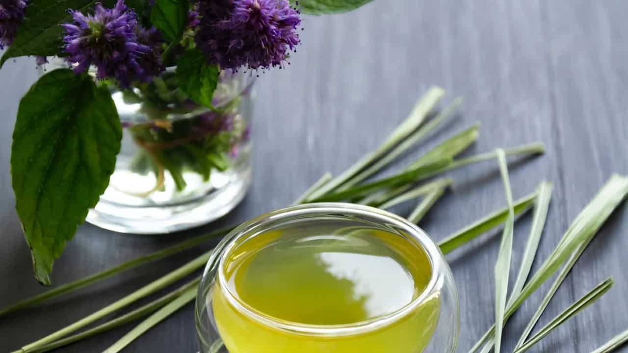 7 Fresh And Tangy Lemon Grass Recipes 2022