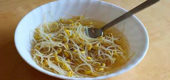 How to make Bean Sprout Soup Recipe
