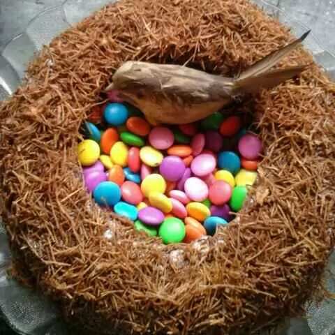How to make Chocolaty Bird Nest Cake Recipe
