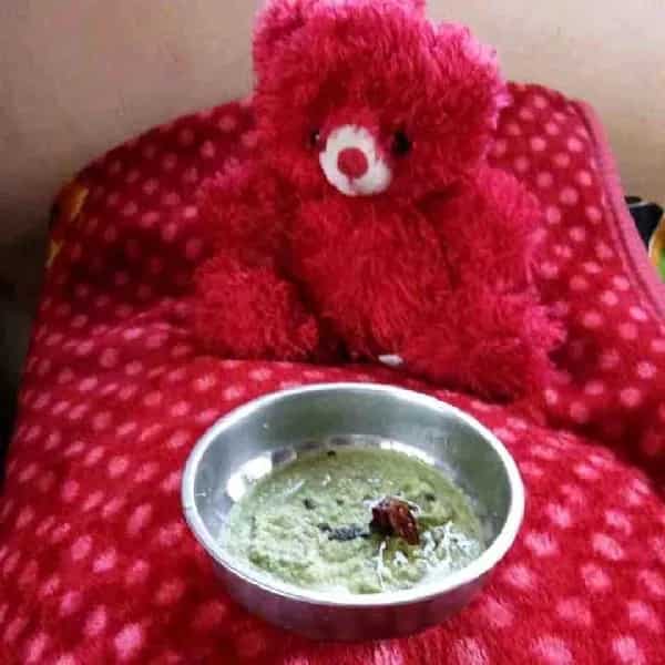 How to make Cucumber Peel Chutney Recipe