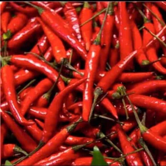How to make Spicy Red Chilli Chutney/pickle Recipe