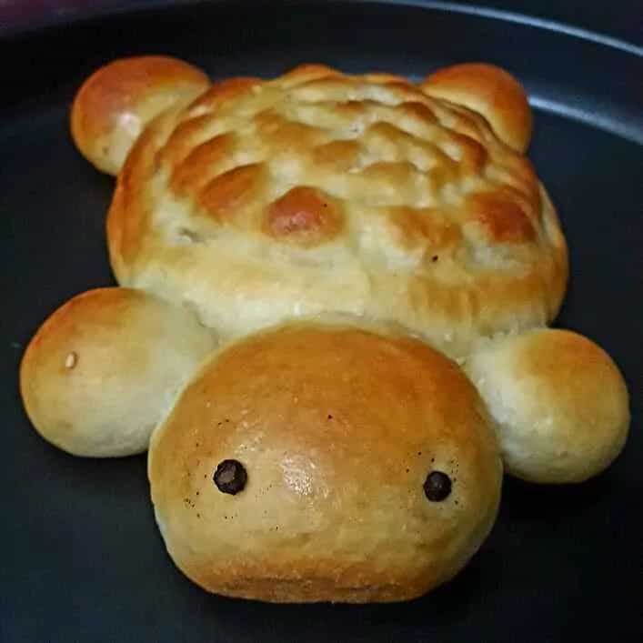 How to make Turtle Bread Recipe