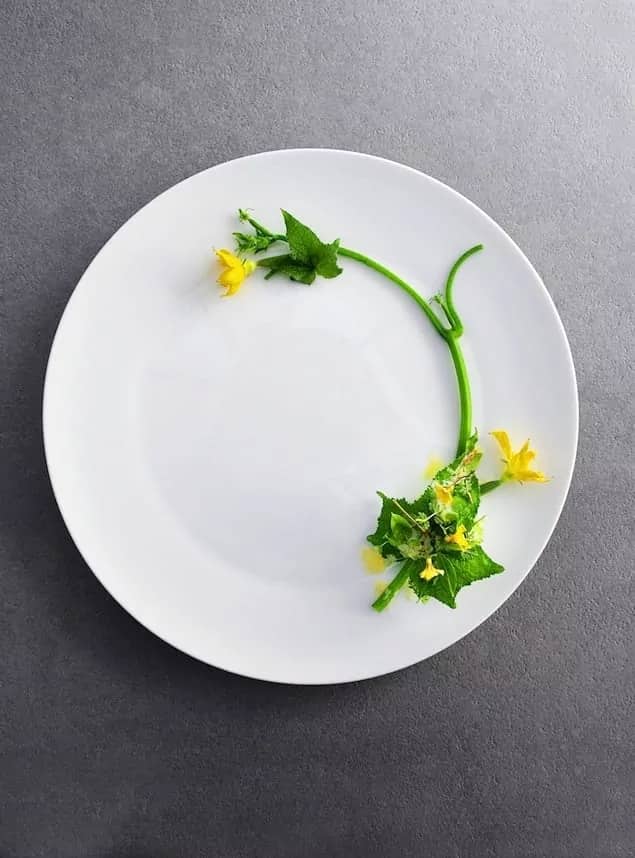 How to make Cucumber Plant With Mullet Recipe