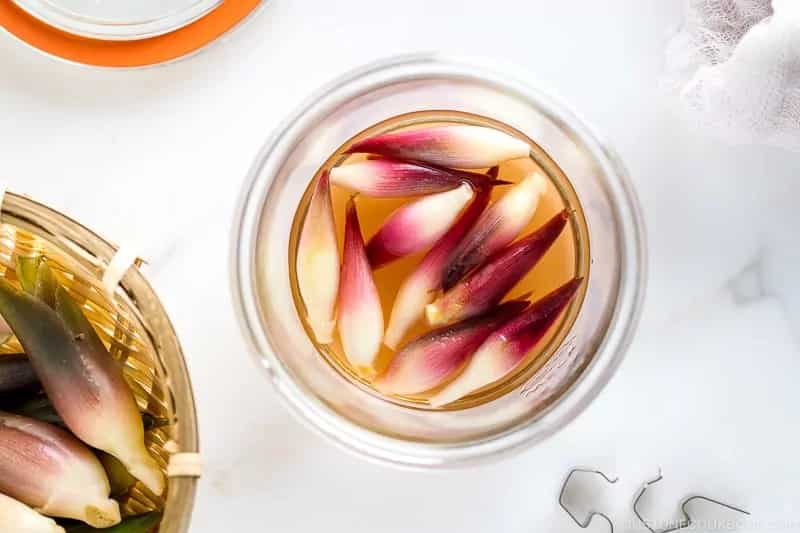 How to make Sweet Pickled Ginger Recipe