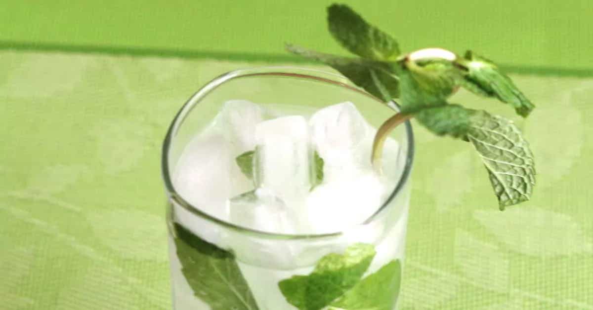 How to make Nojito Mocktail Recipe
