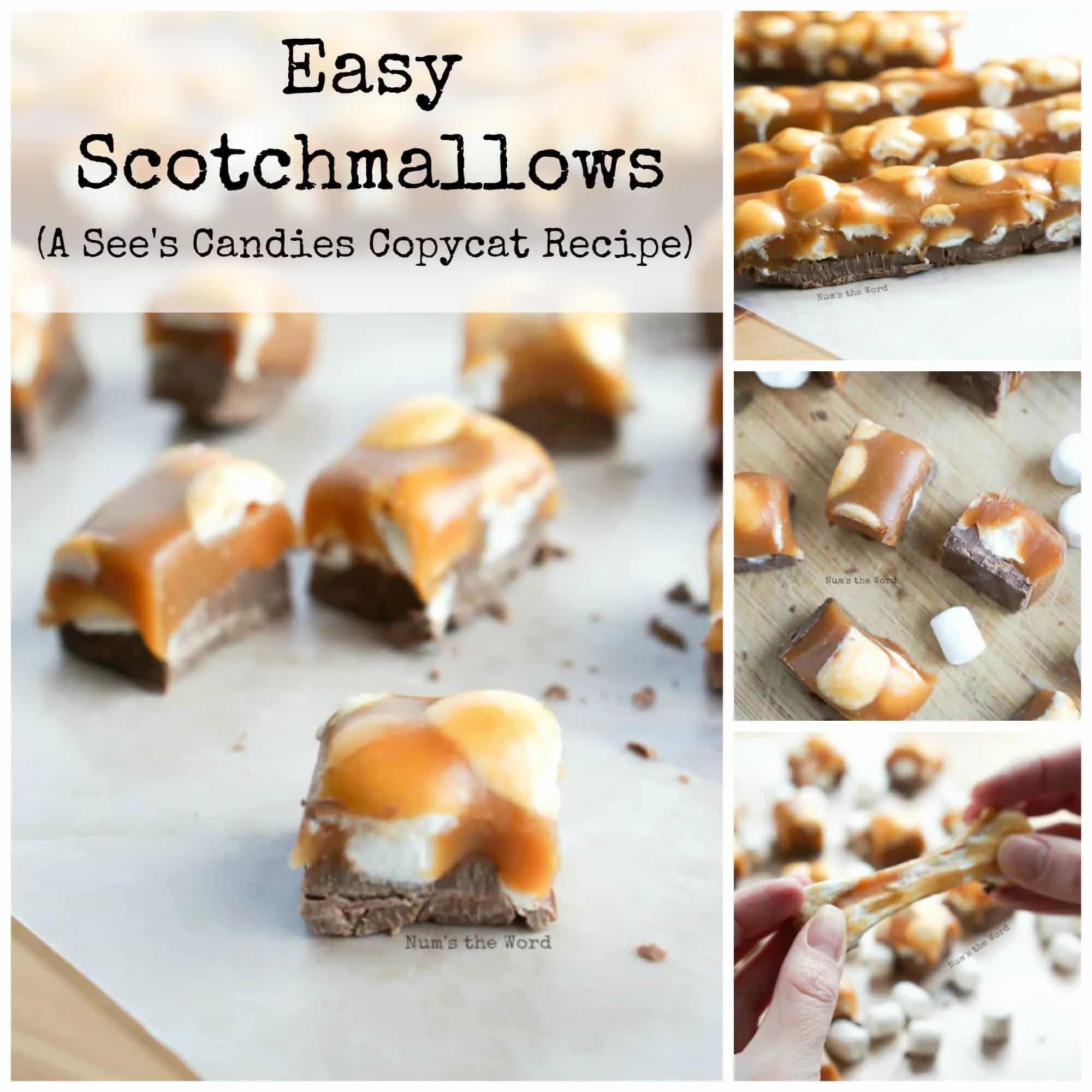 How to make Easy Scotchmallows Recipe