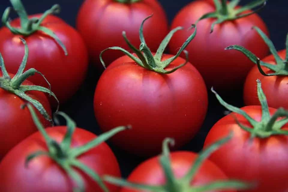 How to make German Vegetarian Tomato Spread Recipe