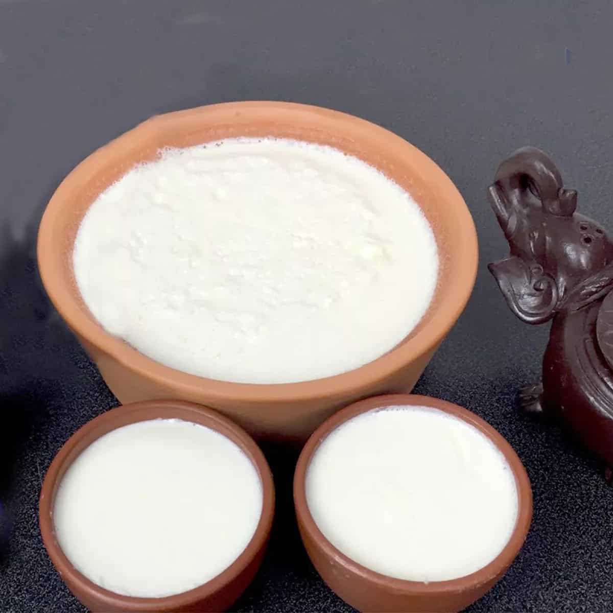 How to make Juju Dhao Recipe