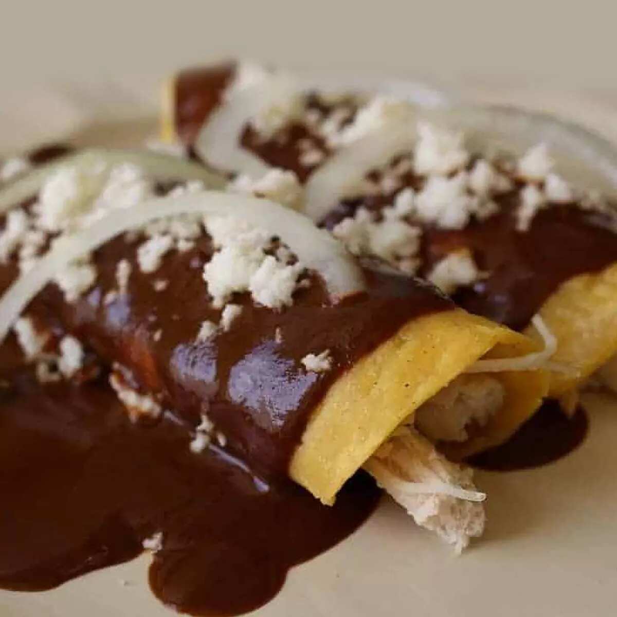 How to make Enmoladas Recipe