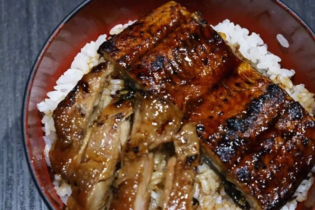 Everything About Eel: 5 Things You Must Know