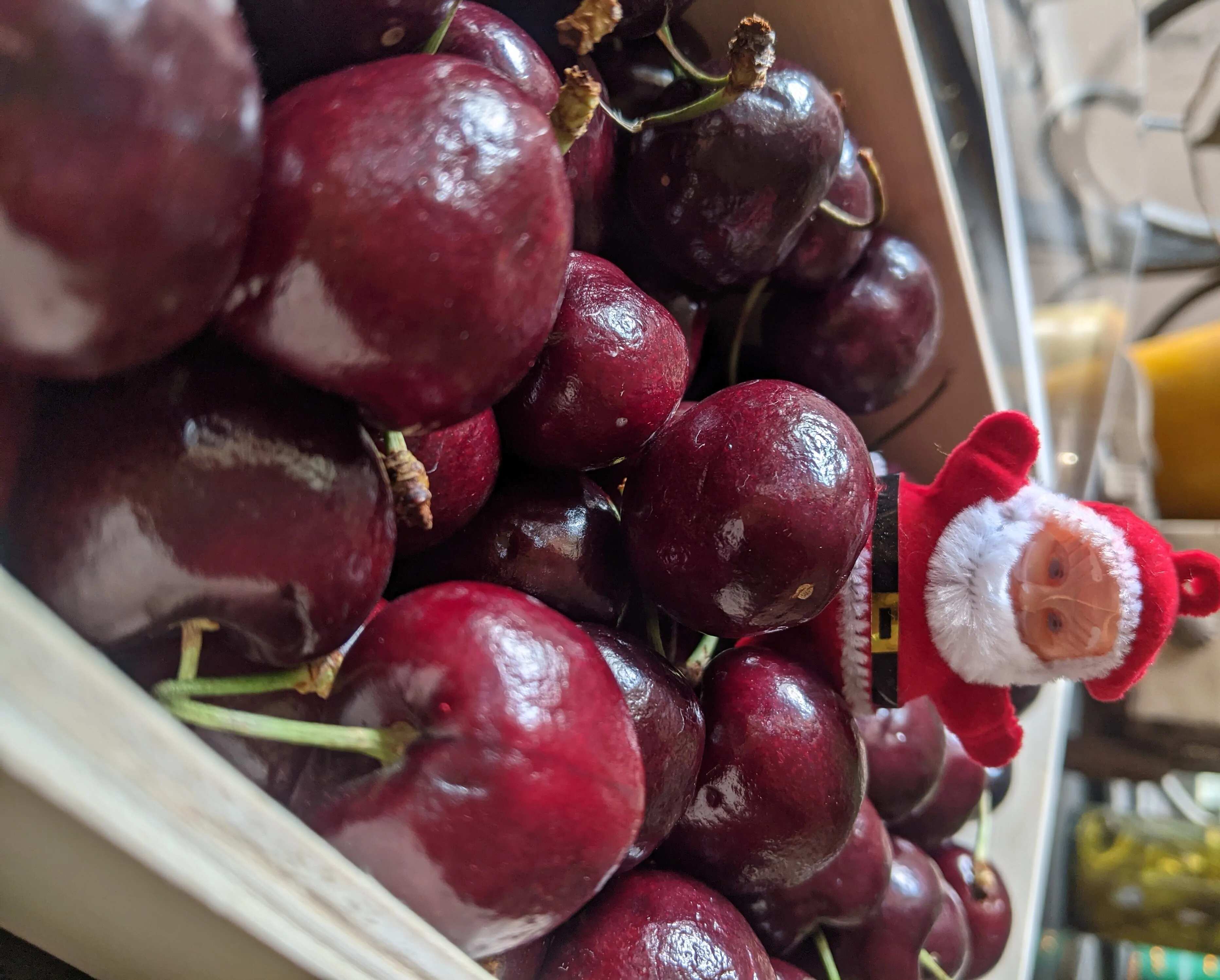 Chilean Fruits Elevating The Indian Food Scene