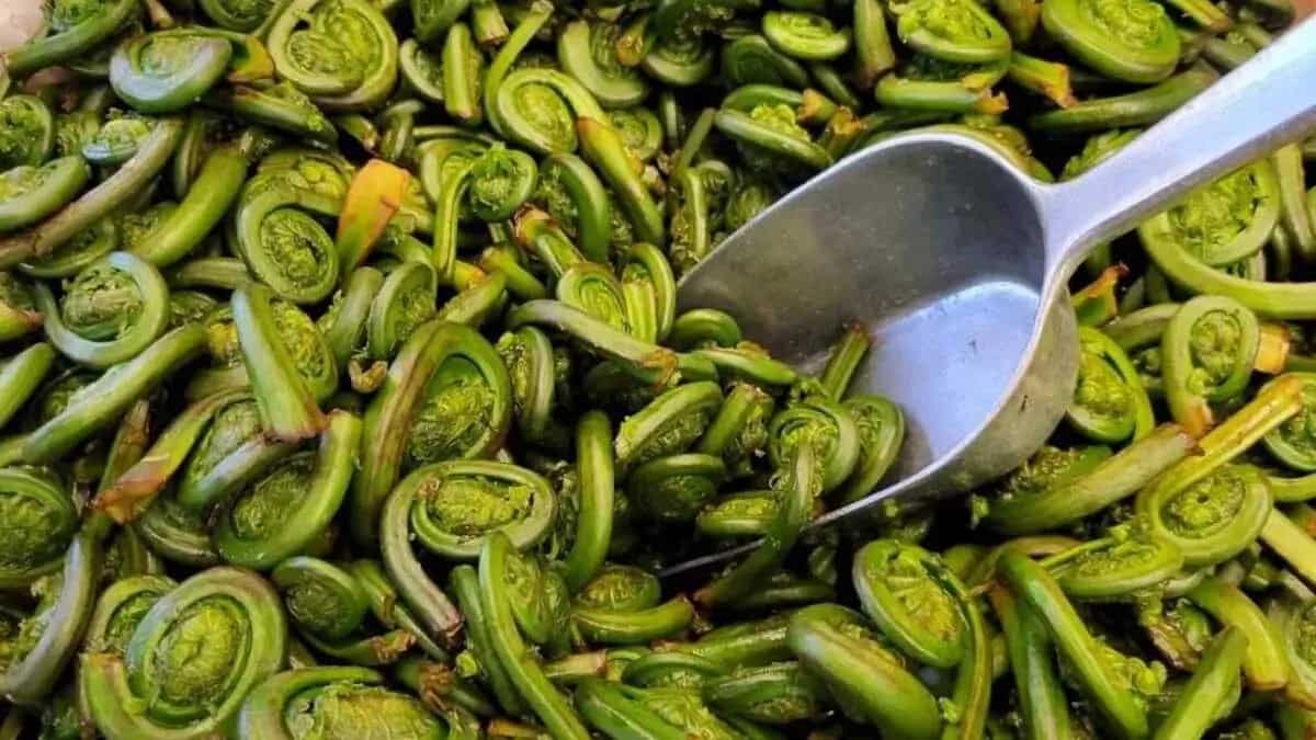 Rongali Bihu 2025: The 'Ekho Ek Bidh Xaak' Tradition And Its Significance