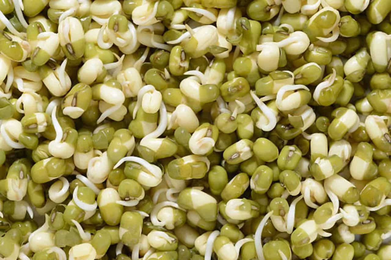 Sprouted Green Gram For Winter: Essential Health Benefits You Shouldn't ...