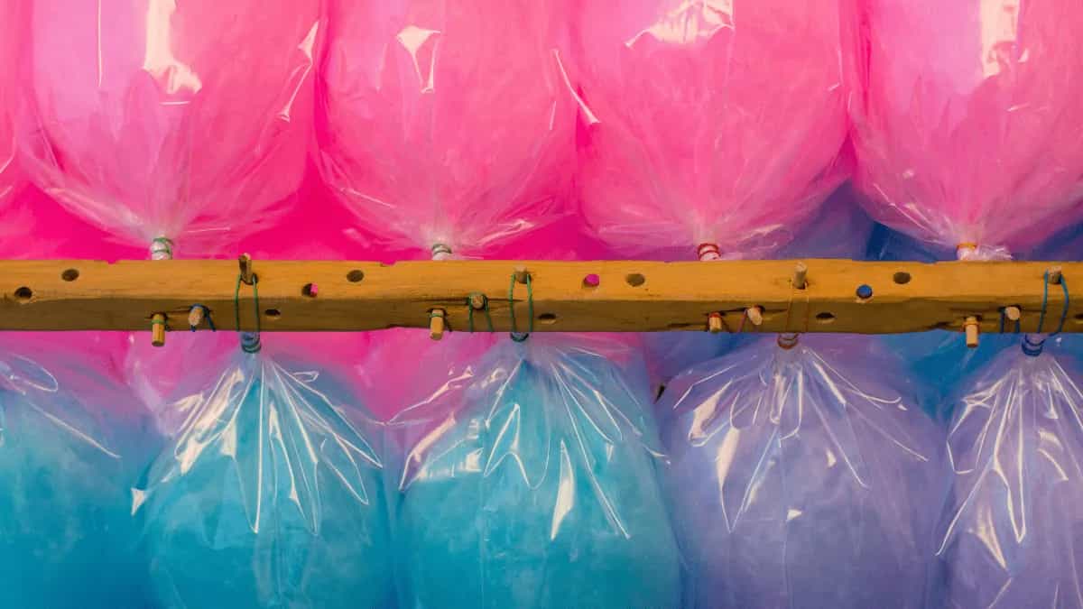 Puducherry Bans Cotton Candy Due To Presence Of Toxic Chemical In Food ...