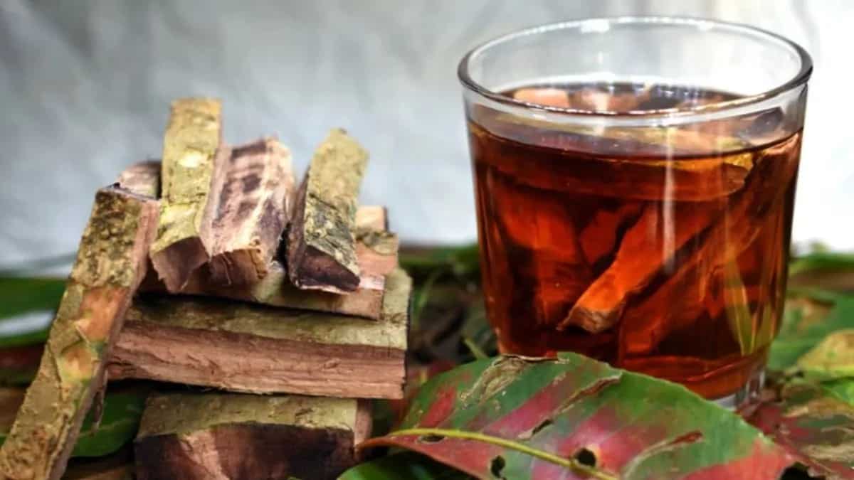 Arjun Ki Chaal: A Comprehensive Guide To The Health Benefits Of Arjuna Tree