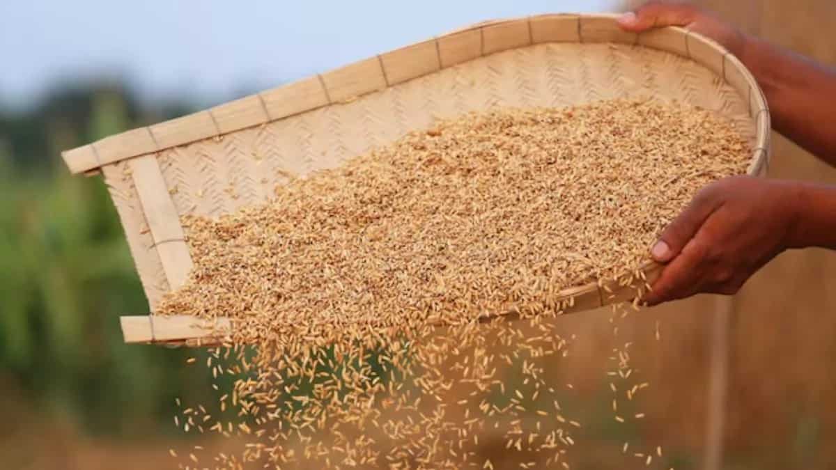 7 Samak Rice-Based Breakfast Dishes To Kick-Start Your Mornings