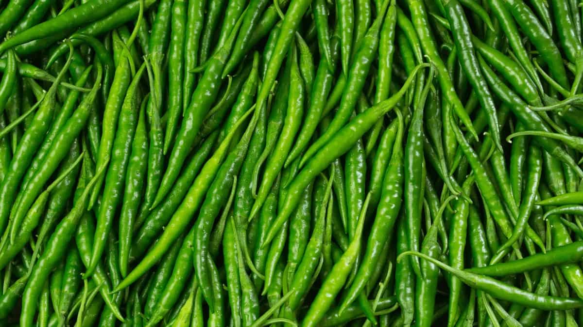 Heart Health To Pain Relief: 6 Amazing Health Benefits Of Green Chillies