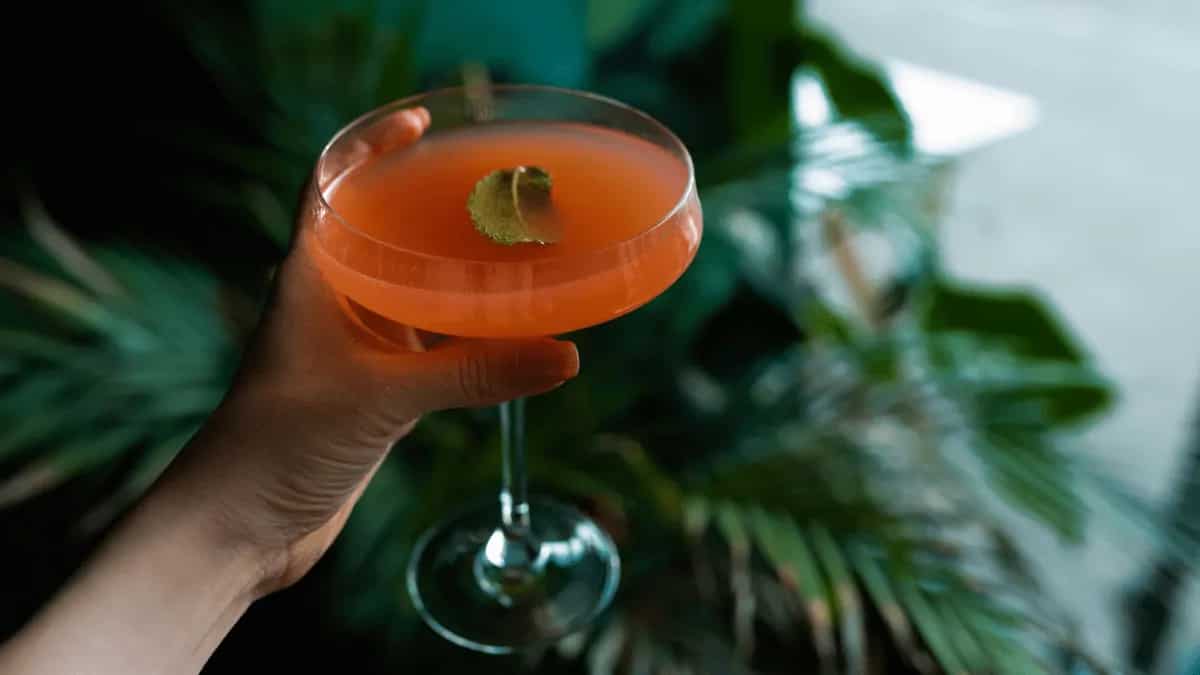 Overcome Common Challenges Of Photographing Cocktails Using These Tips