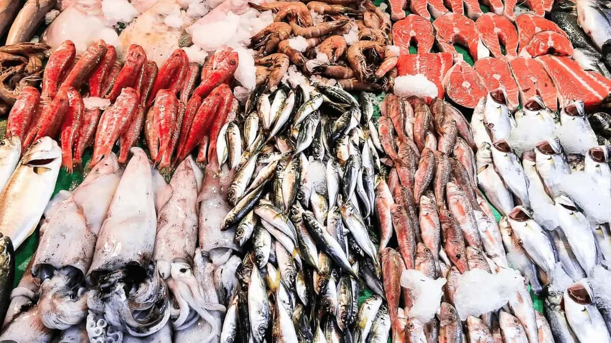 India's Seafood Exports Reach Record High For The Year 2023-24