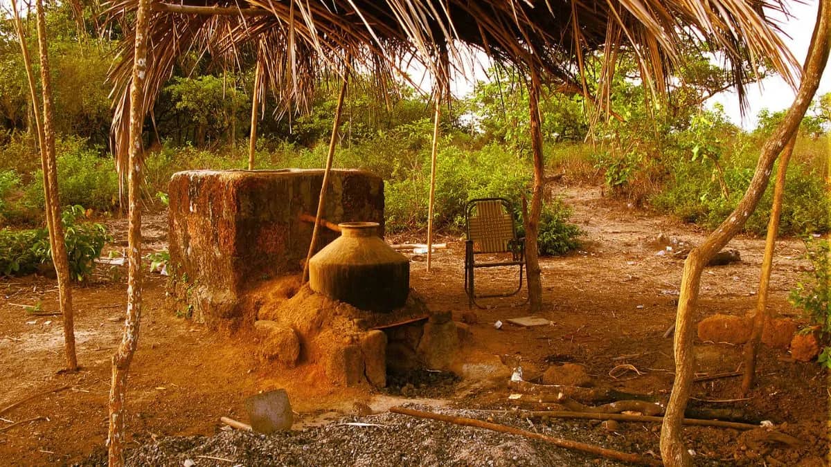 Finding Feni: A Guide To The Traditional Method Of Making Goa's Indigenous Liquor
