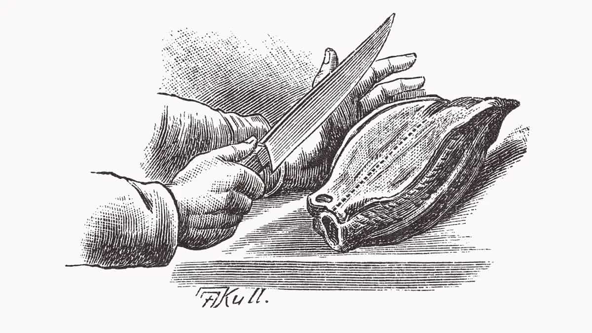 Sallets: Eating Healthy, The 17th Century Way