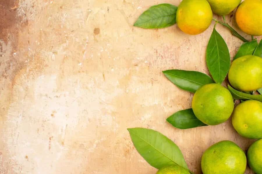 Lemon For Summers: Beat The Heat With 7 Refreshing Nimbu Dishes