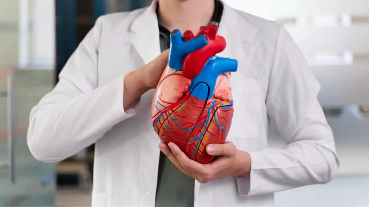 Fuel Your Heart Health: 7 Nutritious Recipes For Cardiovascular Well-Being