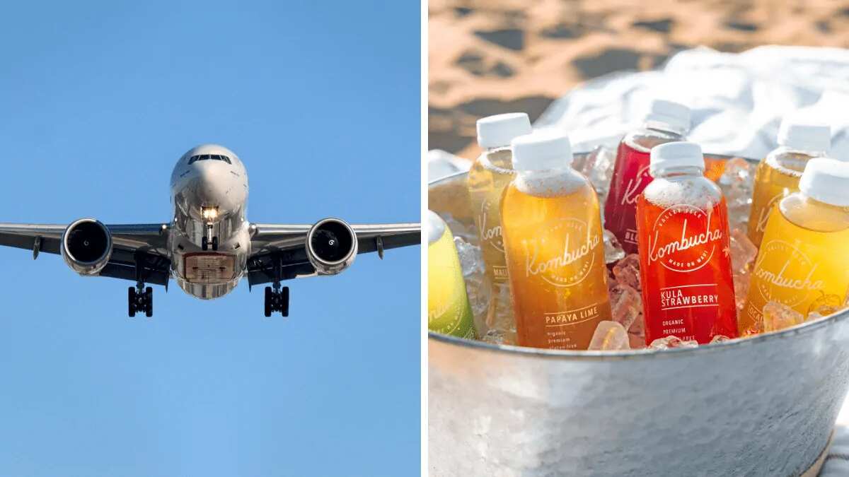 This Indian Airline Is Serving Kombucha While Mid-Air For The First Time