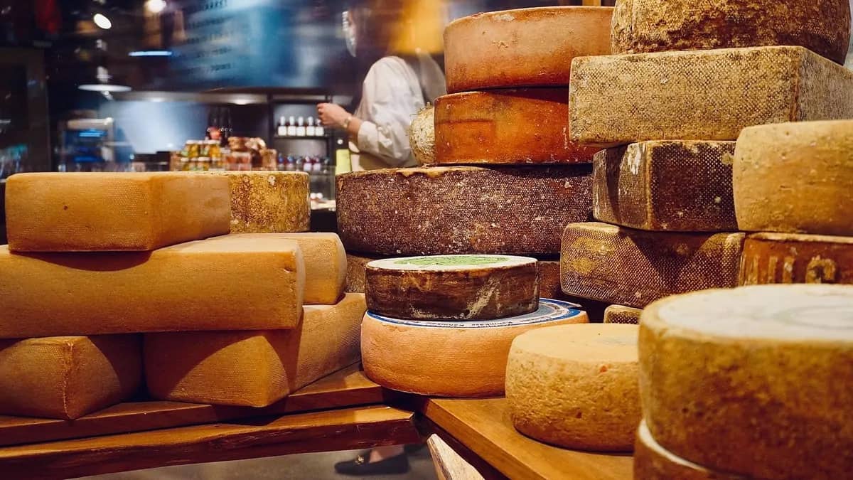The Importance Of Microbial Cultures In Cheese Production