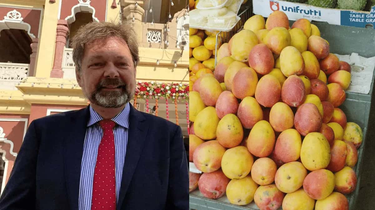 German Ambassador Spotted Relishing Indian Mangoes
