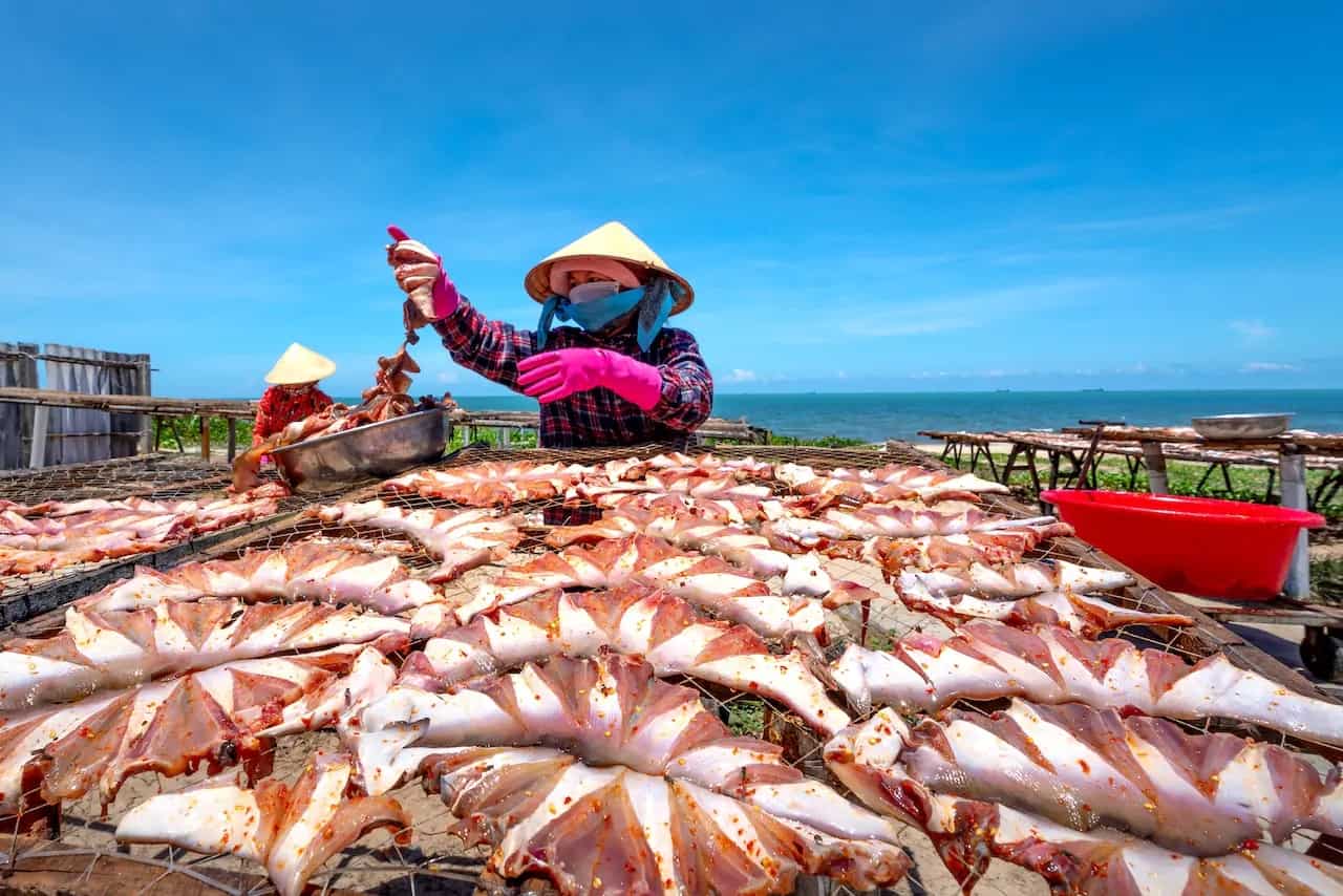 Sun Drying: The Oldest Dehydrator That Ruled Over Centuries