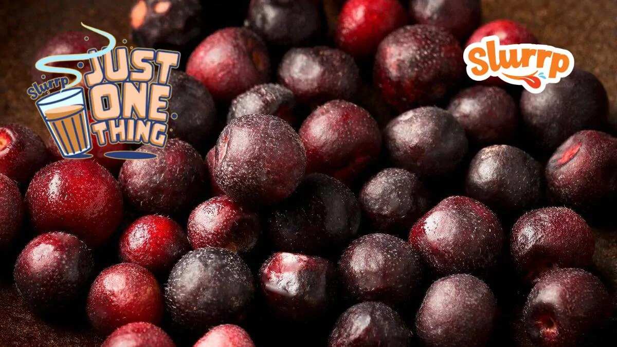 Phalsa: The Indian Sharbat Berry Is A Metaphor For Life