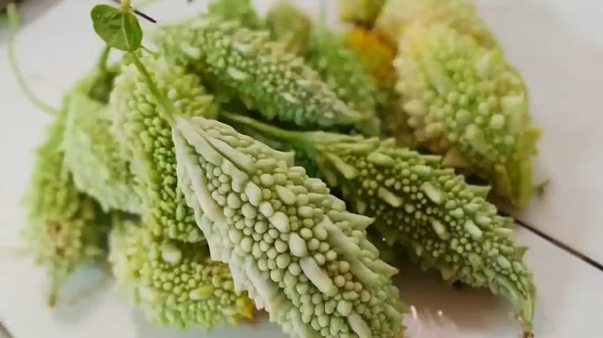 5 Indian Gourds And Their Unique Health Benefits