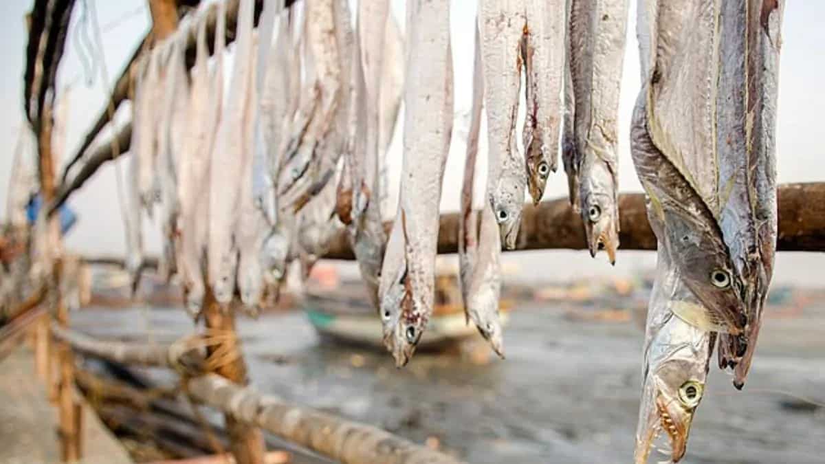 Squid Roast to Shrimp Fry, 7 Yummy Indian Dried Seafood Dishes