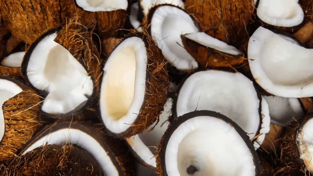 Coconut Across The World: 7 Must-Try Dishes With Coconut