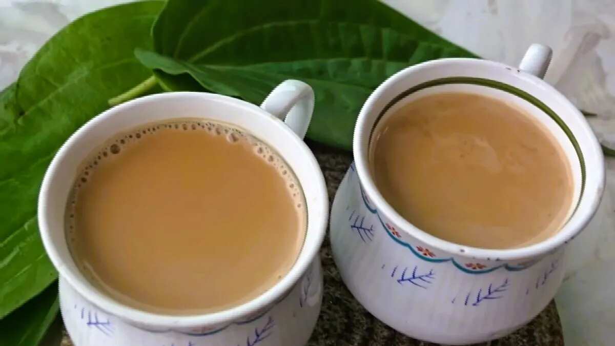 Craving For Paan Chai Here Is A Recipe To Make It At Home
