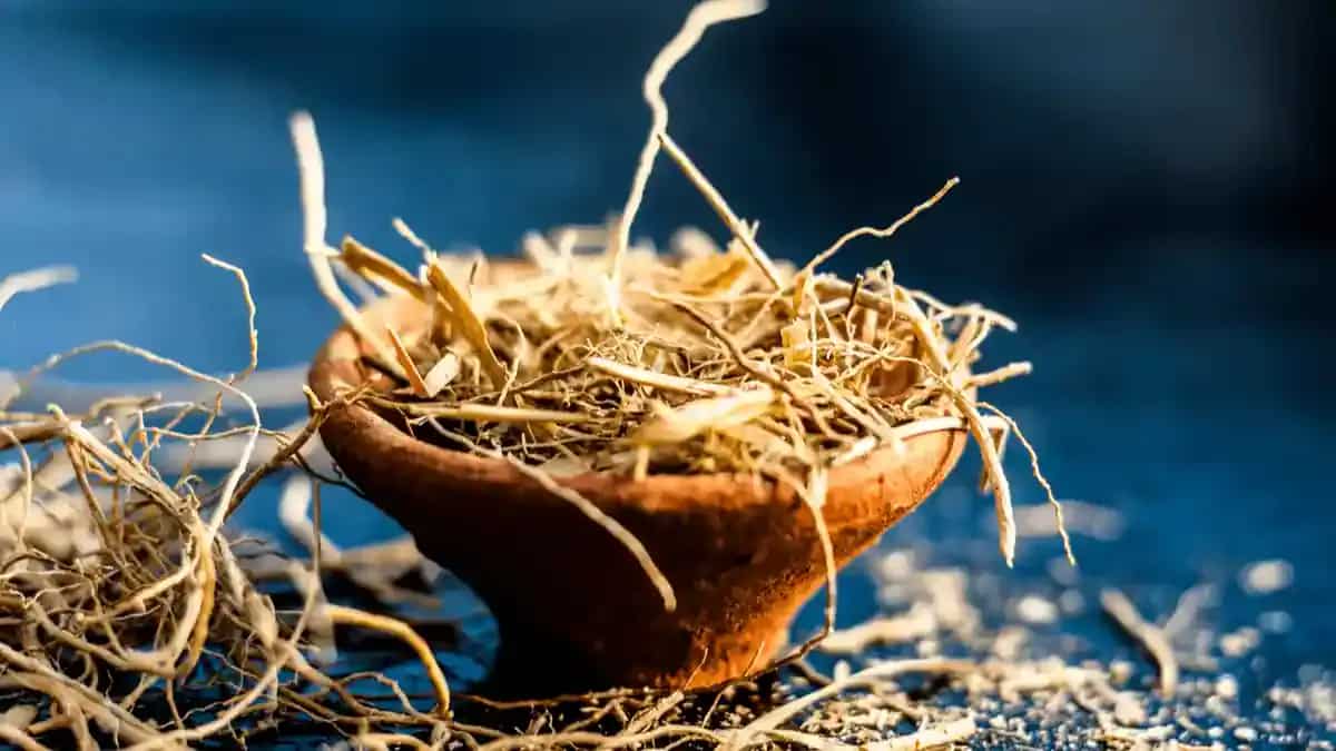 6 Benefits Of Khus Root Water, The Overlooked Summer Superfood