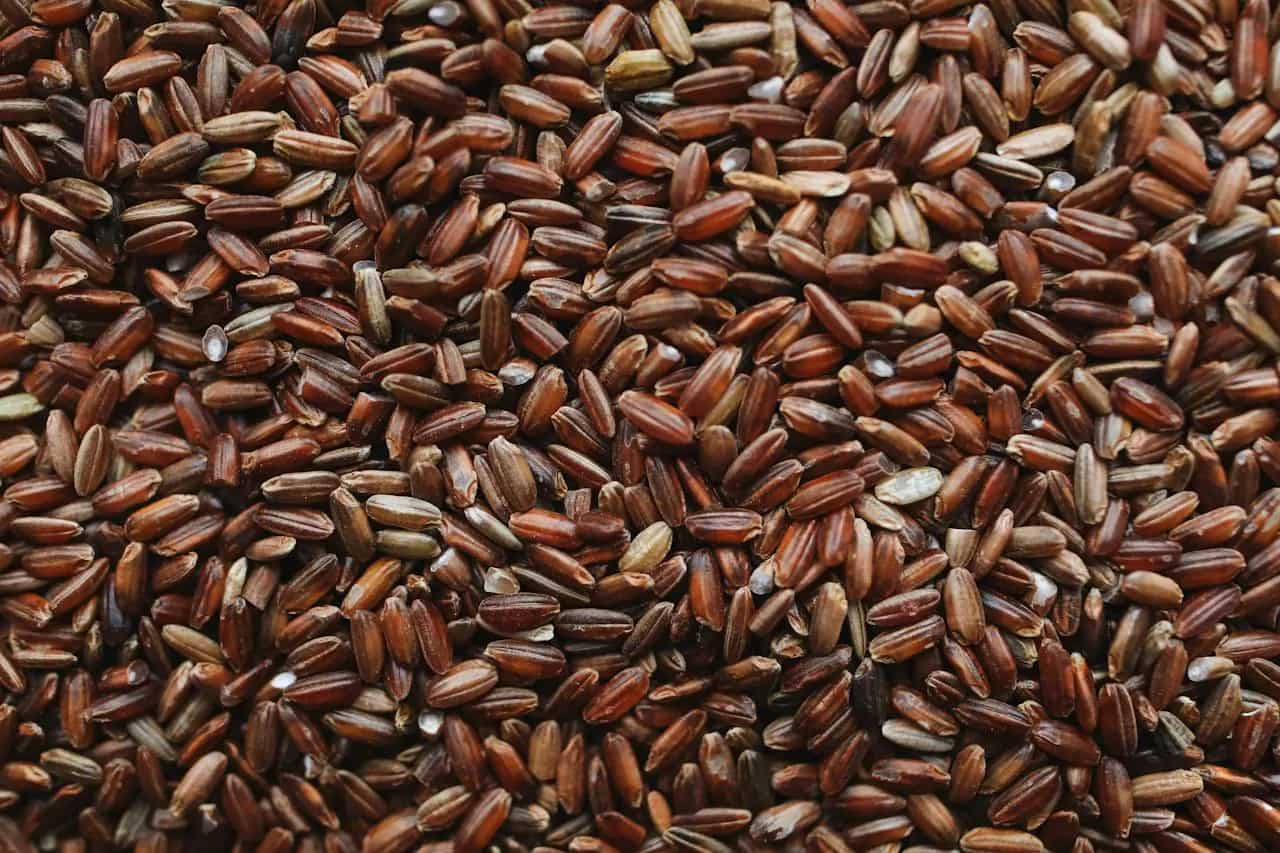 Navara Rice: The Powerhouse Of Nutrition And Ayurvedic Wellness