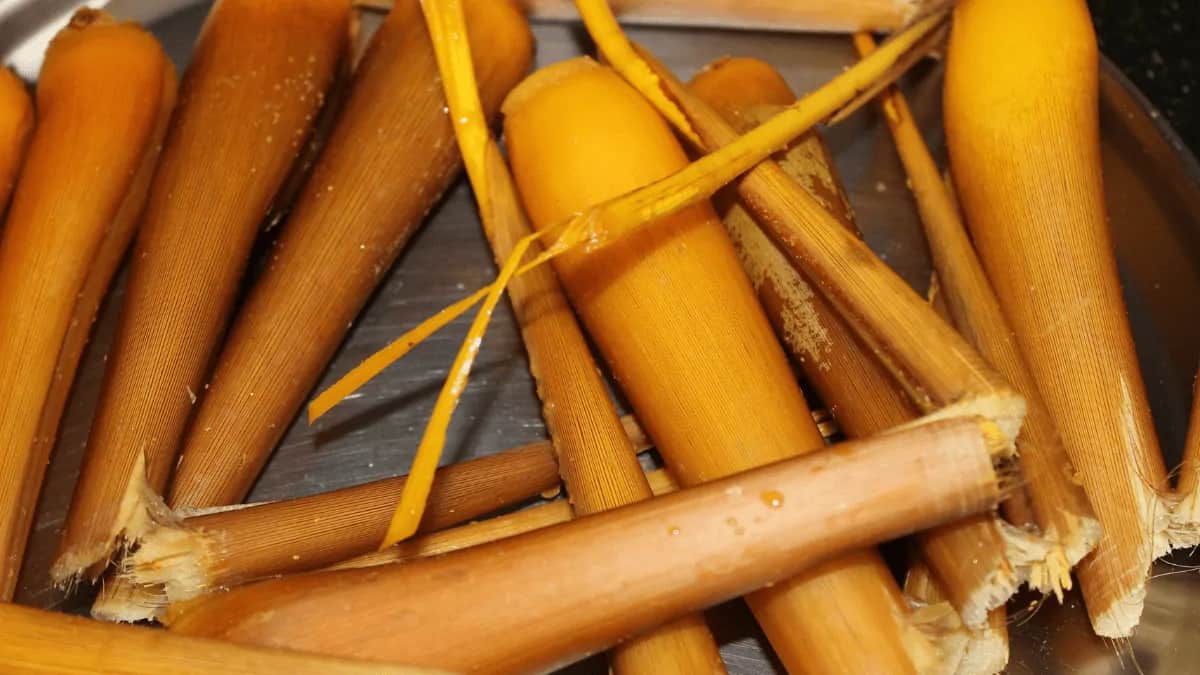 Panang Kazhangu Puttu: Nutritious Palmyra Sprout Scramble