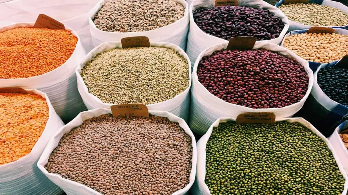 6 Tips To Keep Your Grains and Pulses Dry During The Monsoon